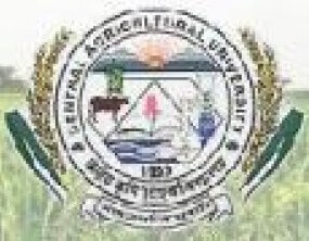 Review Adda | Where search end for education