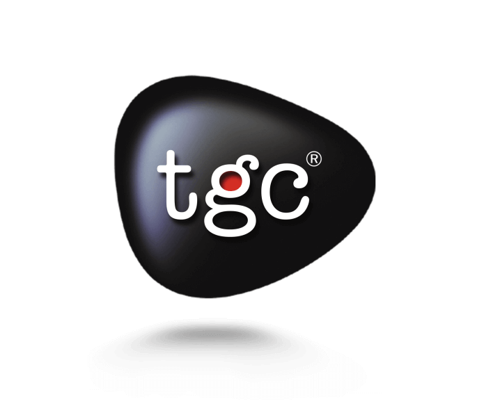 TGC Animation and Multimedia, Delhi - Course and Fee 2018